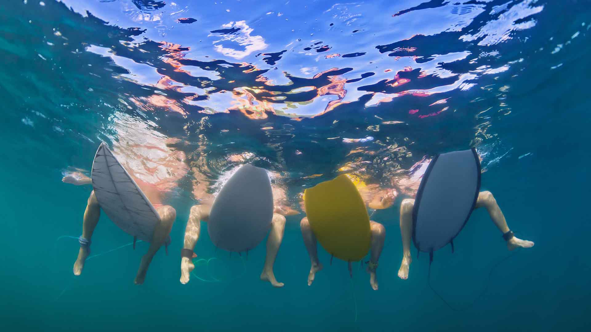 Micro Surf Camp - Malibu Makos Surf Club